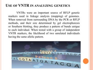 VNTR and RFLP | PPTX