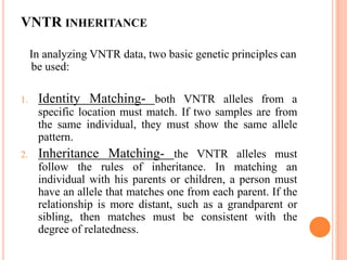 VNTR and RFLP | PPTX