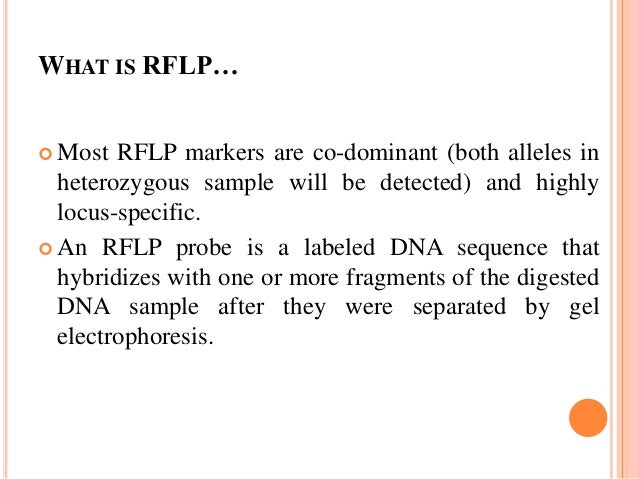 VNTR and RFLP