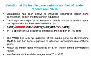 VNTR- Minisatellite | PPTX