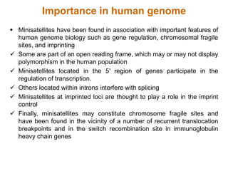 VNTR- Minisatellite | PPTX