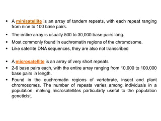 VNTR- Minisatellite | PPTX
