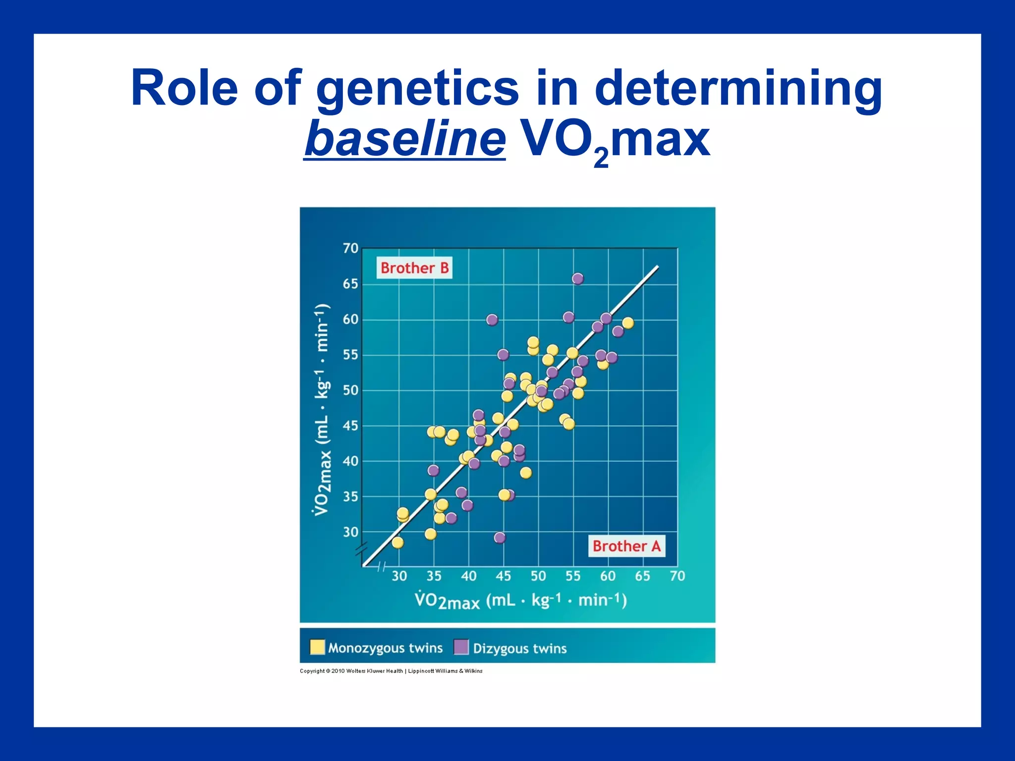 Vo2max what does it really mean | PPT