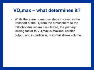 Vo2max what does it really mean | PPT