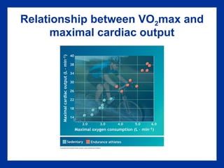 Vo2max what does it really mean | PPT
