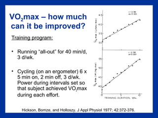 Vo2max what does it really mean | PPT