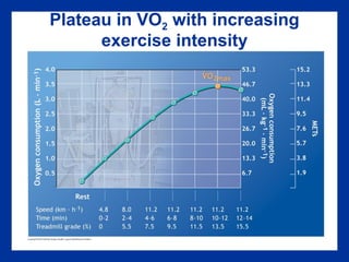 Vo2max what does it really mean | PPT