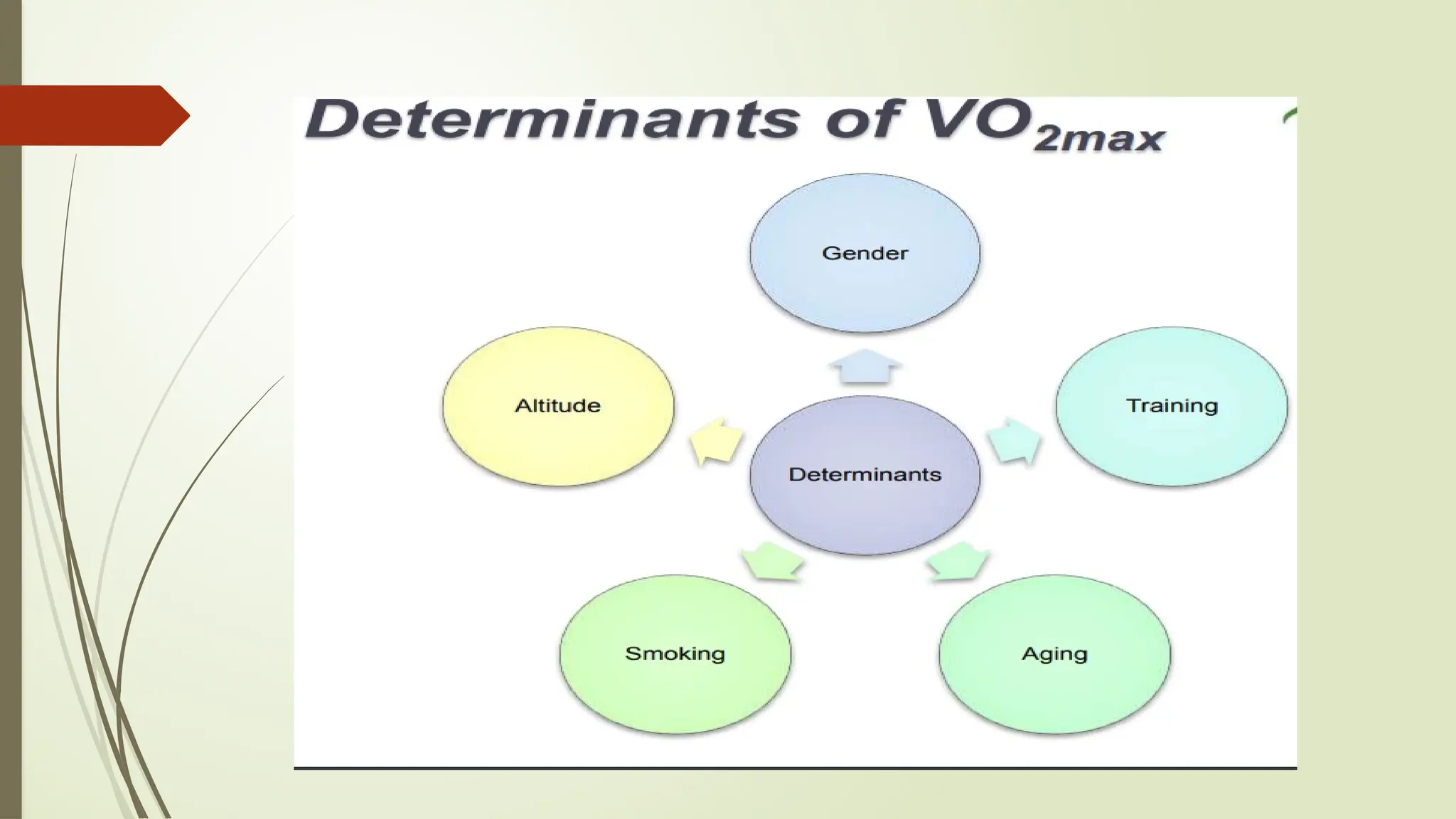 VO2 MAX Exercise Physiology Content.pptx