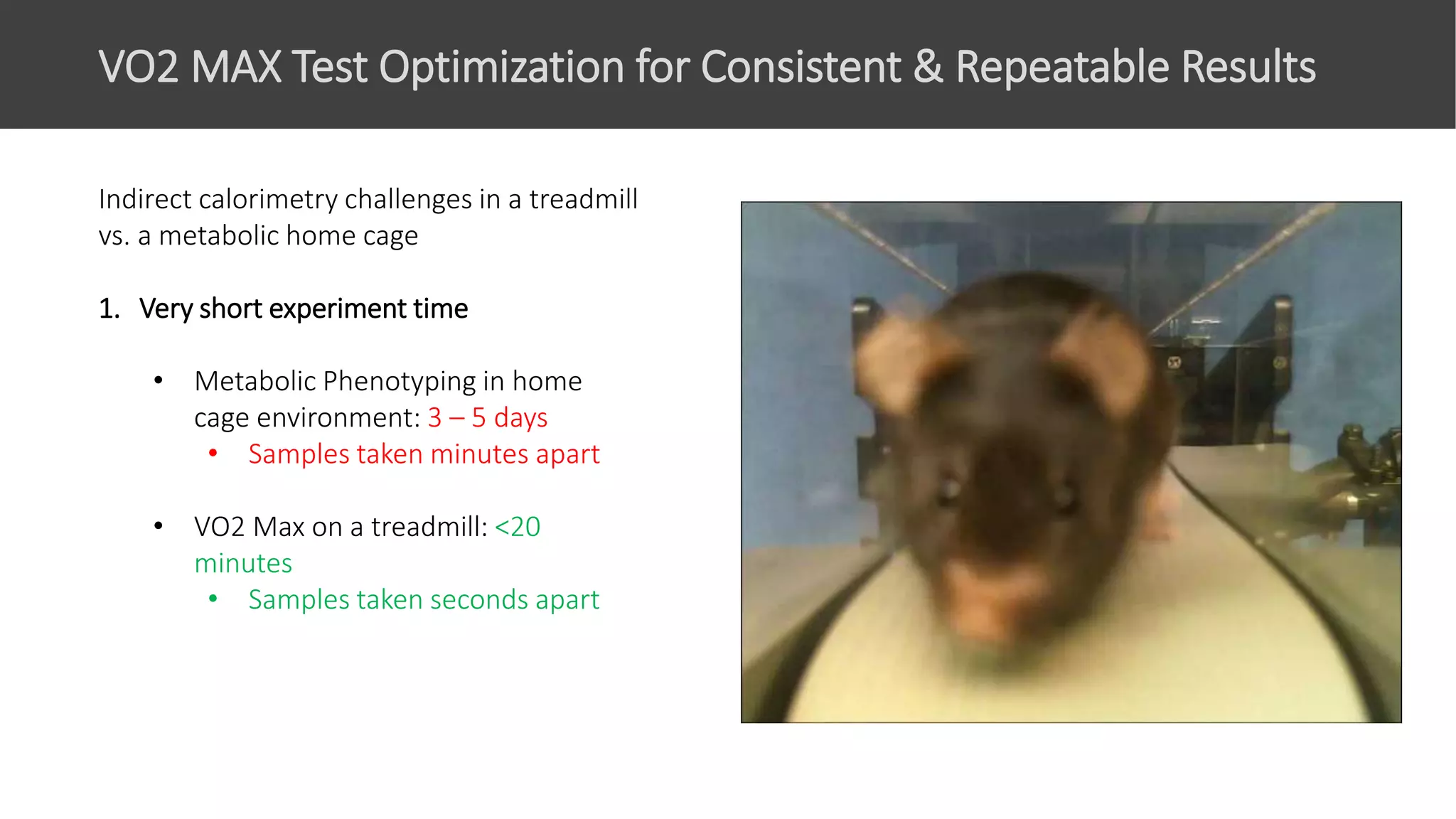 VO2 Max Test Optimization for Cardiometabolic Phenotyping in Rodents ss ...