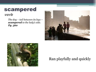 Vocab what do fish... | PPTX