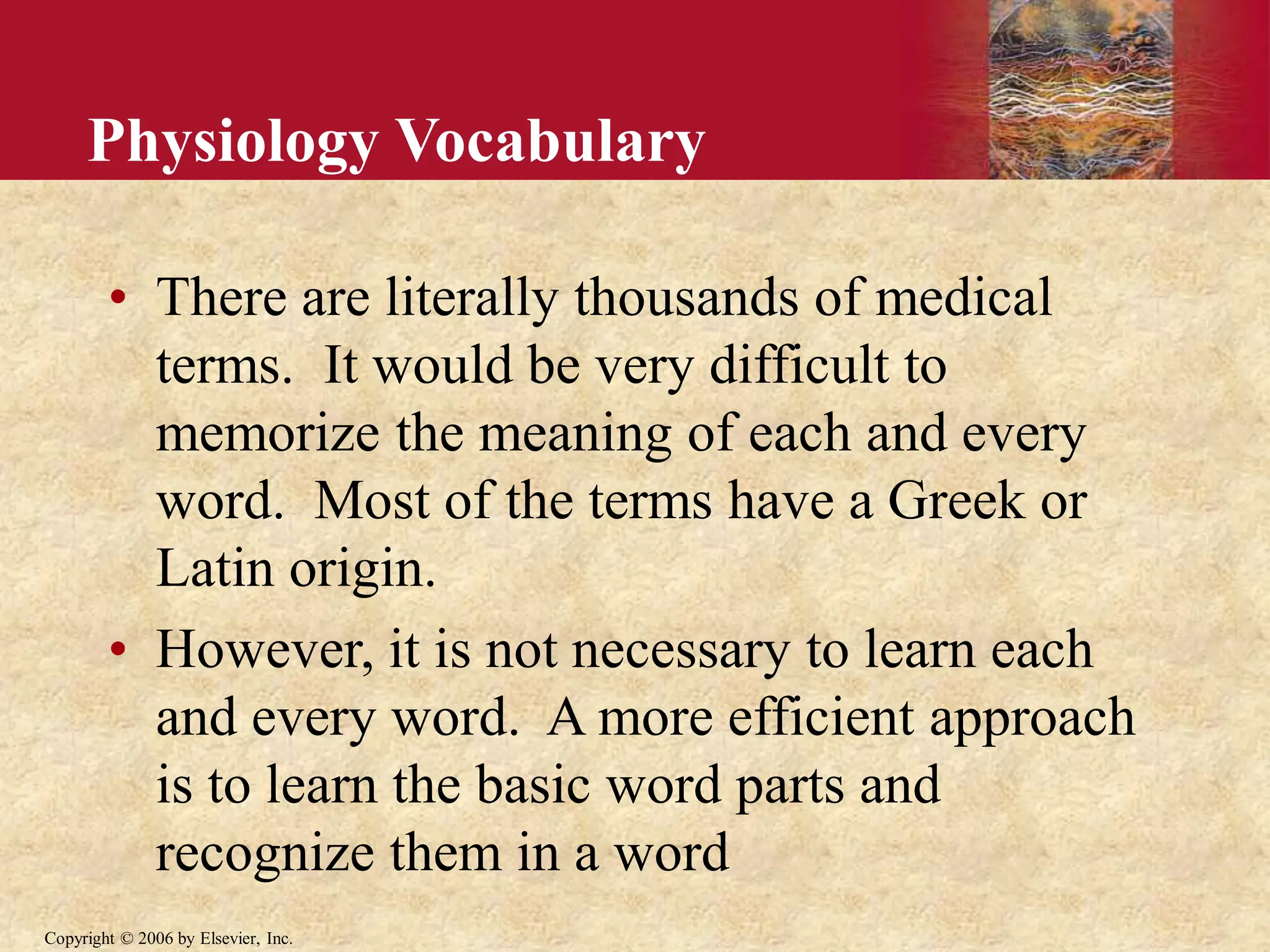 Anatomy and Physiology Vocabulary (PREFIXES) | PDF