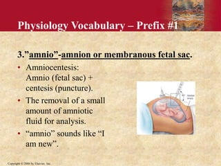 Anatomy and Physiology Vocabulary (PREFIXES) | PDF