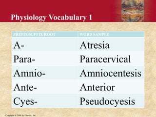 Anatomy and Physiology Vocabulary (PREFIXES) | PDF