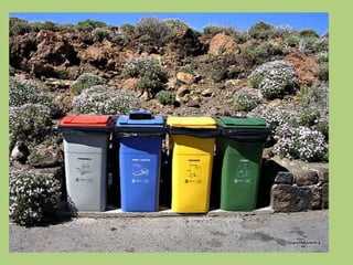 Vocabulario de la naturaleza | PPTX