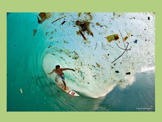Vocabulario de la naturaleza | PPTX
