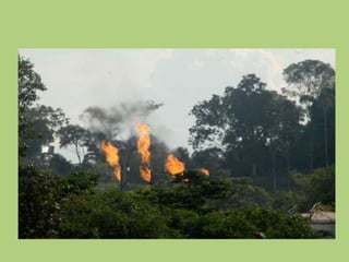 Vocabulario de la naturaleza | PPTX