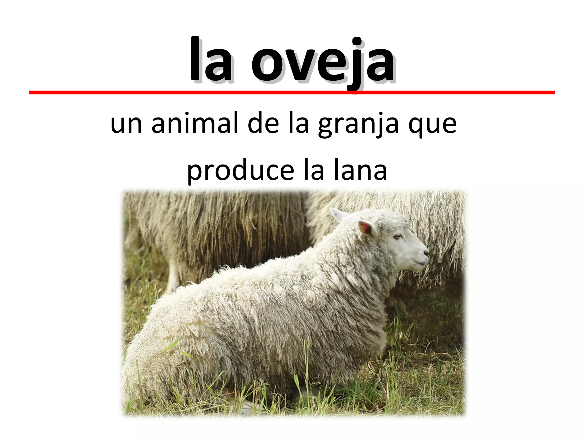 Un Oso y Un Amor - Vocab for flashcards | PPT