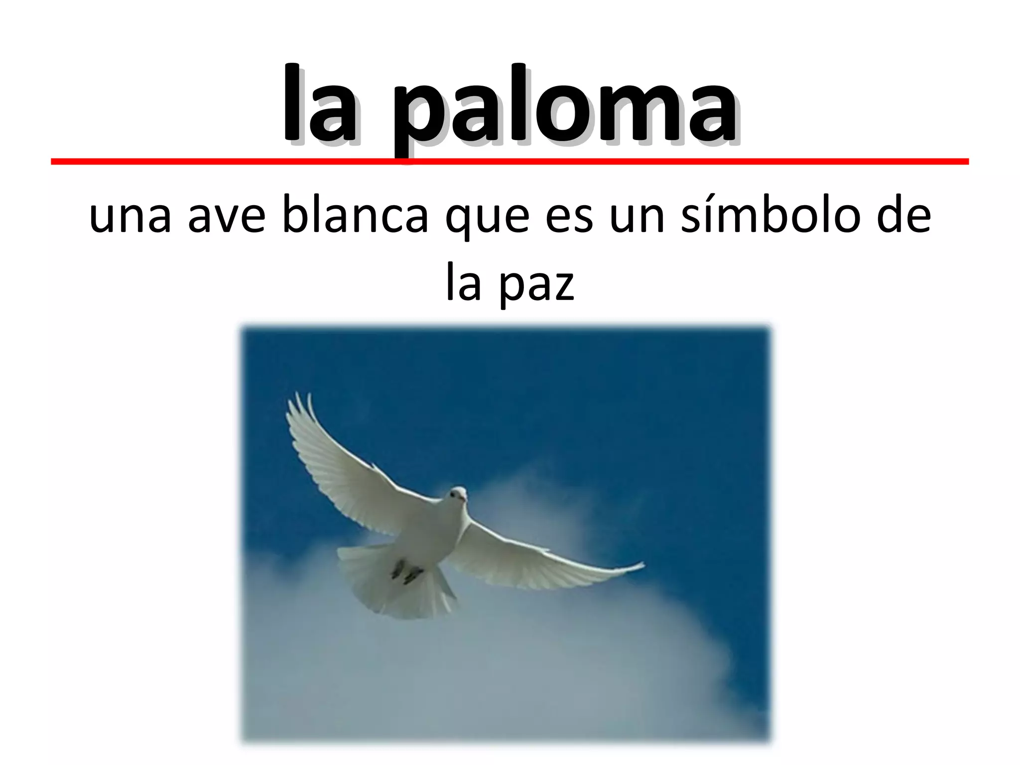 Un Oso y Un Amor - Vocab for flashcards | PPT