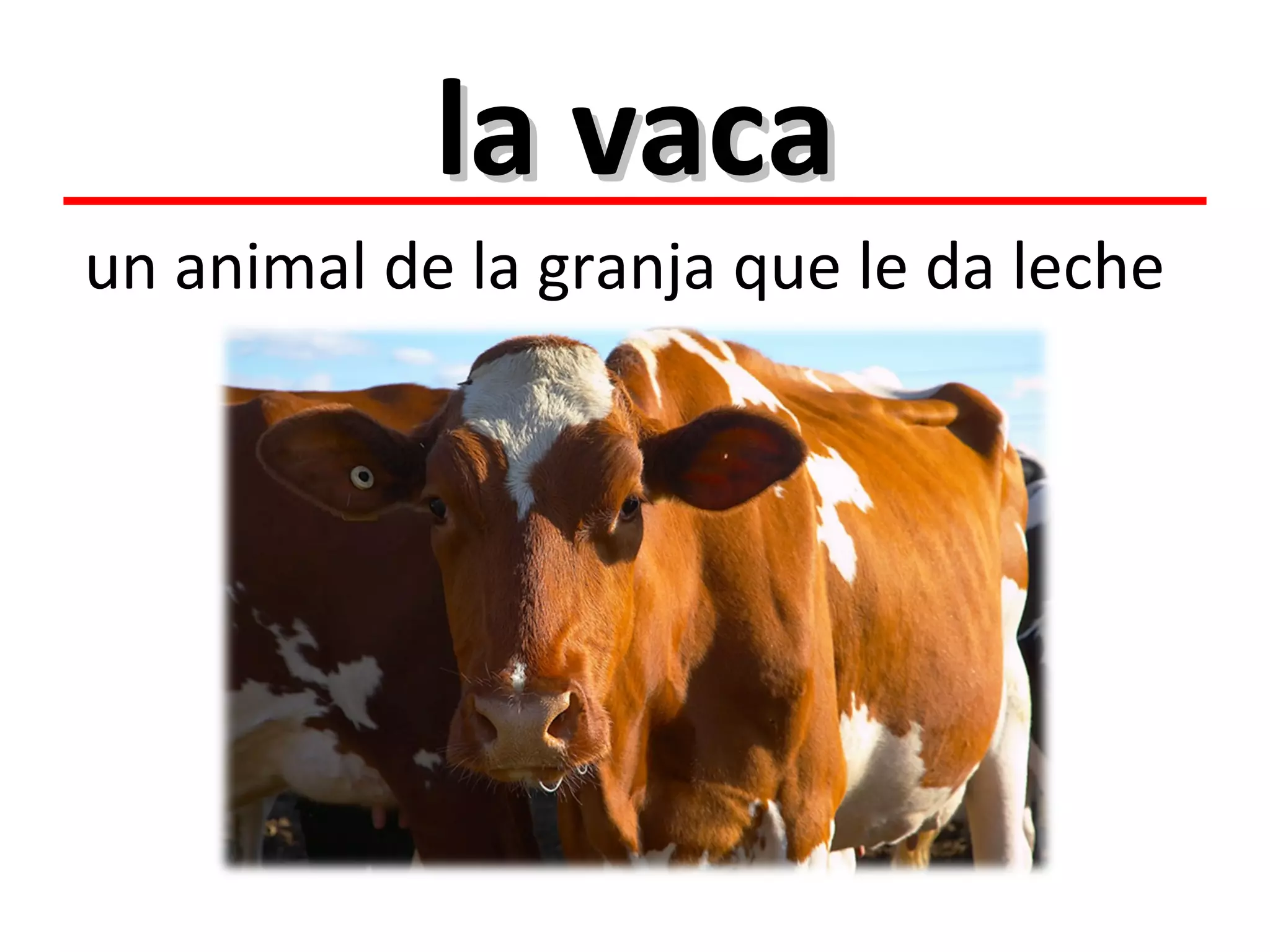 Un Oso y Un Amor - Vocab for flashcards | PPT