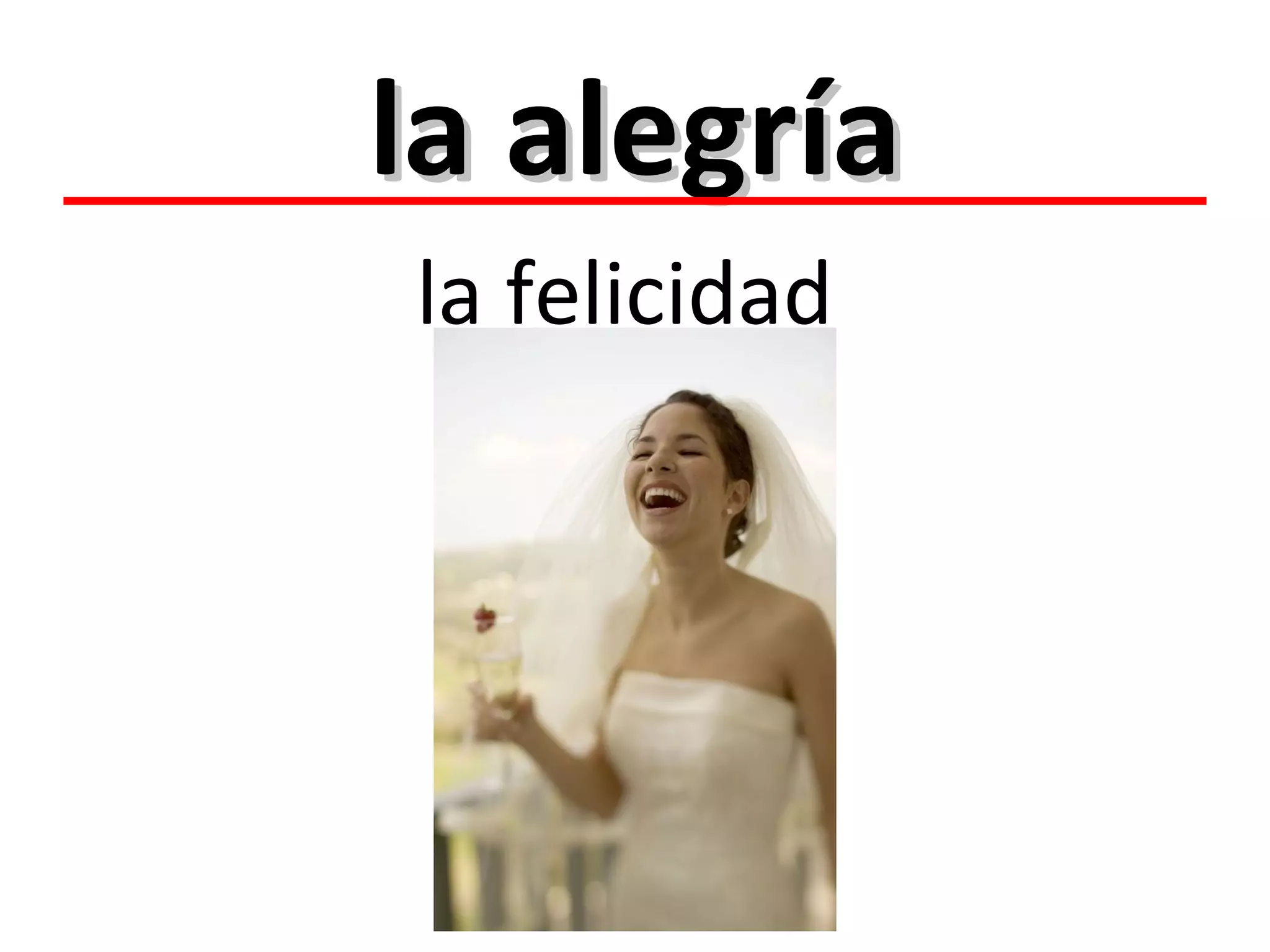 Un Oso y Un Amor - Vocab for flashcards | PPT