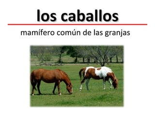 Un Oso y Un Amor - Vocab for flashcards | PPT