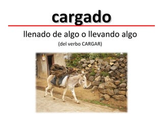 Un Oso y Un Amor - Vocab for flashcards | PPT