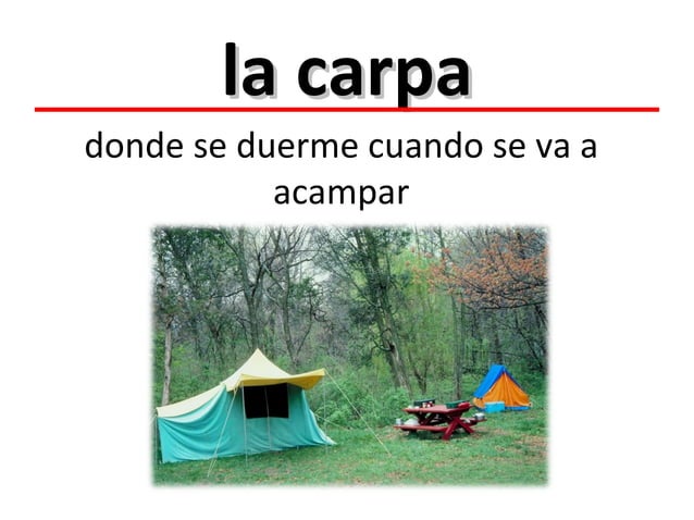 Un Oso y Un Amor - Vocab for flashcards | PPT