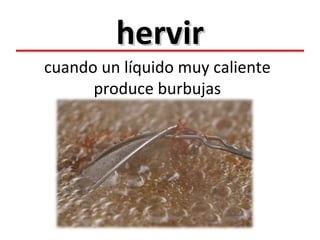 Un Oso y Un Amor - Vocab for flashcards | PPT