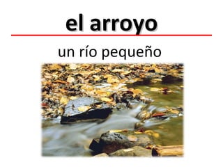 Un Oso y Un Amor - Vocab for flashcards | PPT