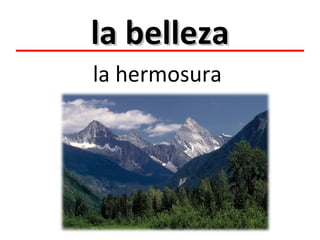 Un Oso y Un Amor - Vocab for flashcards | PPT