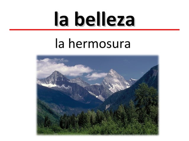 Un Oso y Un Amor - Vocab for flashcards | PPT