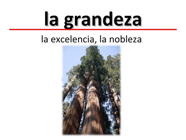 Un Oso y Un Amor - Vocab for flashcards