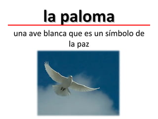 Un Oso y Un Amor - Vocab for flashcards | PPT