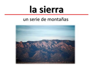 Un Oso y Un Amor - Vocab for flashcards | PPT