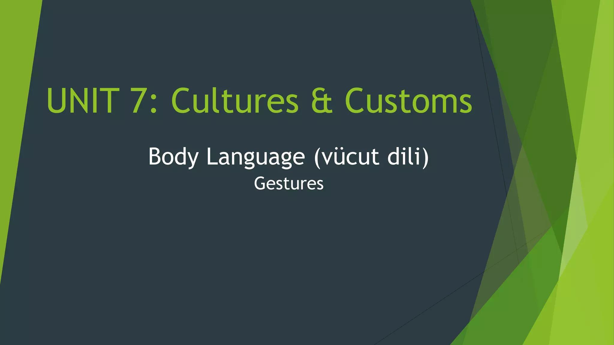 Cultures & Customs: Gestures | PPTX