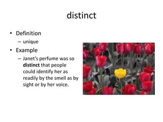 Vocab gestures to continuity | PPT