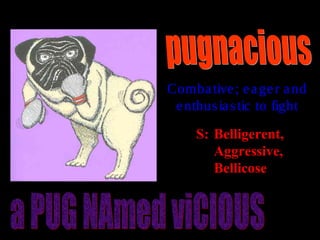 Visual Vocabulary | PPT