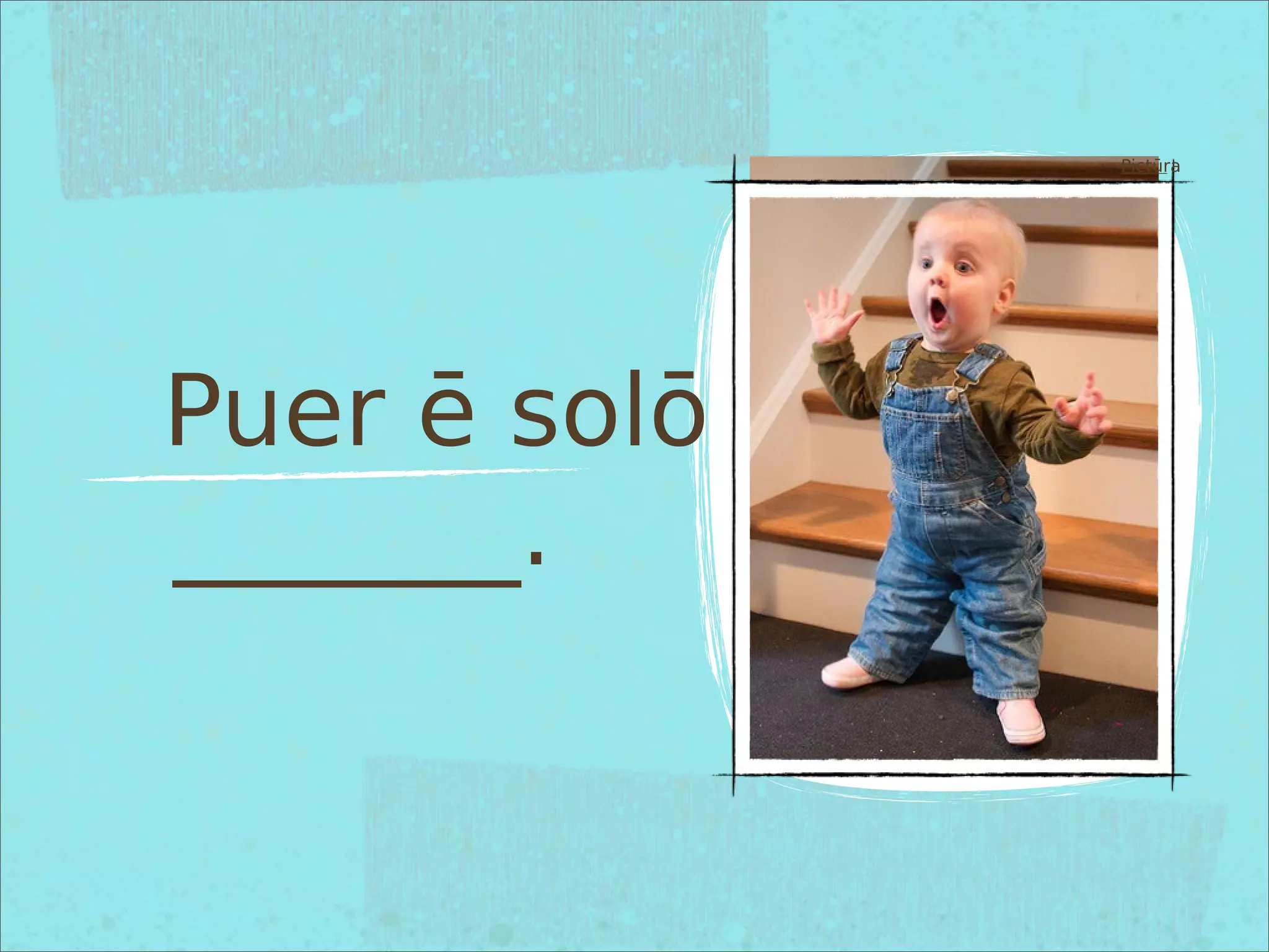 Vocabula cap. xiv | PDF