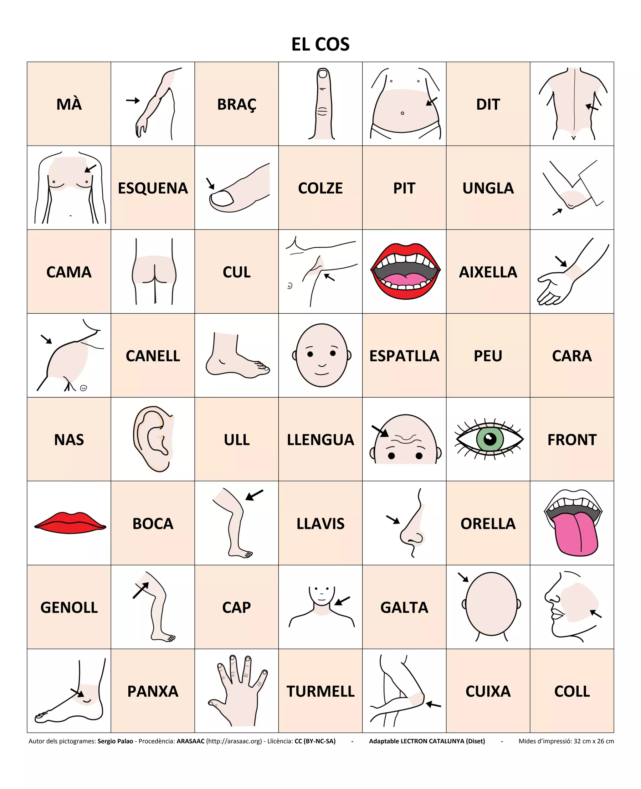 Lectron vocabulari en català | PDF