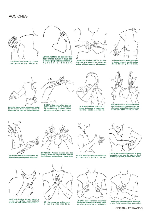 Vocabulario basico ben schaeffer | PDF