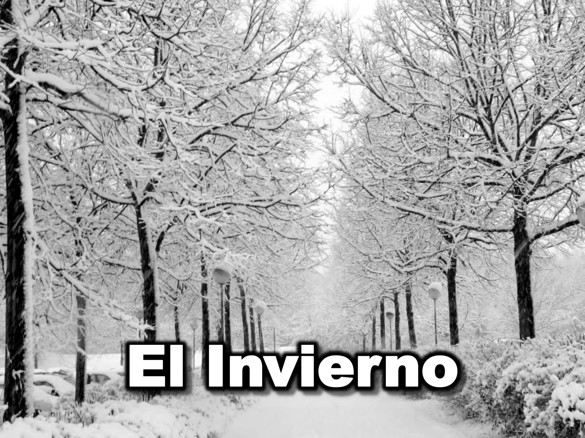 Vocabulario - El clima - las estaciones | PPTX