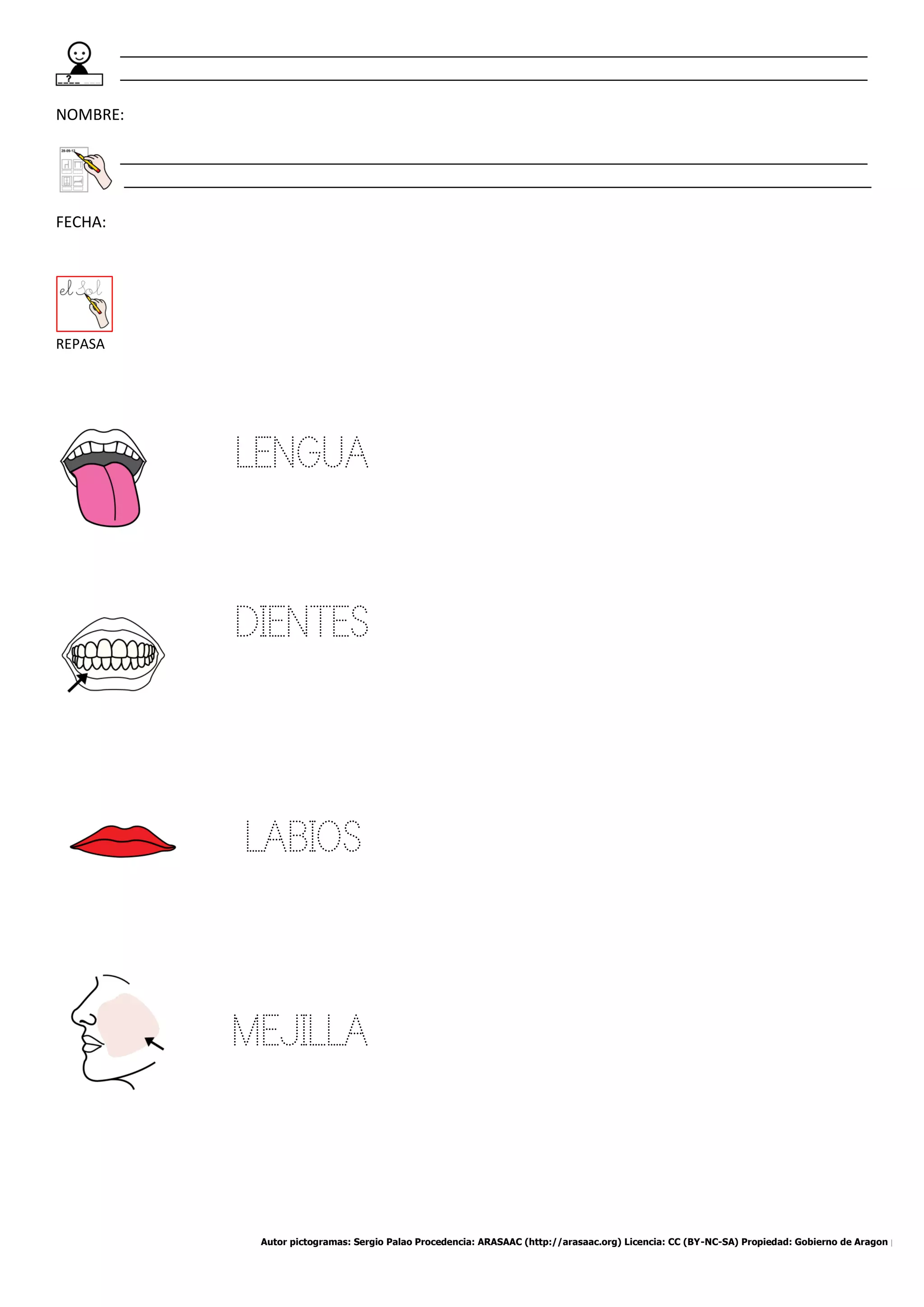 Vocabulario El Cuerpo Humano Pdf