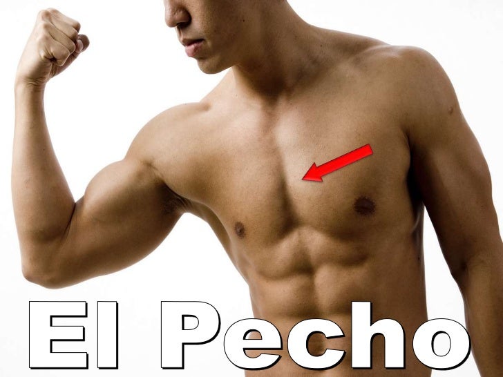 Vocabulario - Las partes del cuerpo