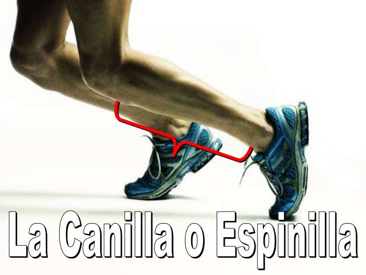 Vocabulario - Las partes del cuerpo