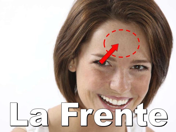 Vocabulario - Las partes del cuerpo