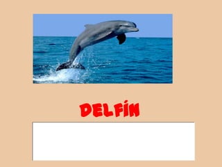 Vocabulario animales marinos | PPTX