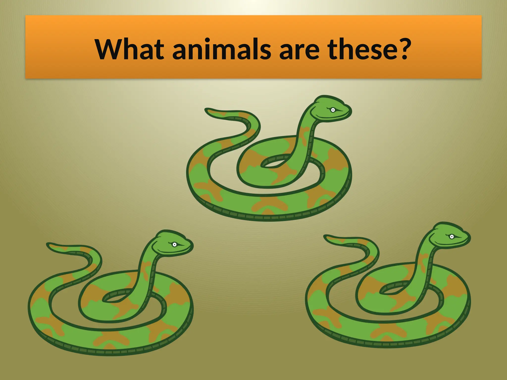 Vocabulario de animales/ Vocabulary for children.pptx