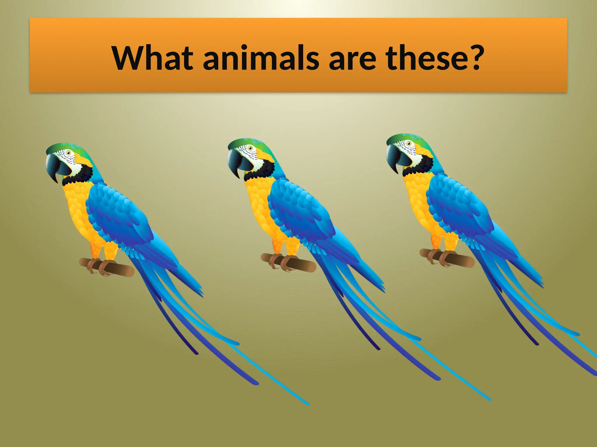 Vocabulario de animales/ Vocabulary for children.pptx