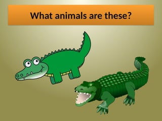 Vocabulario de animales/ Vocabulary for children.pptx
