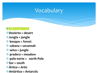 Vocabulario de los seres vivos en inglés | PPTX